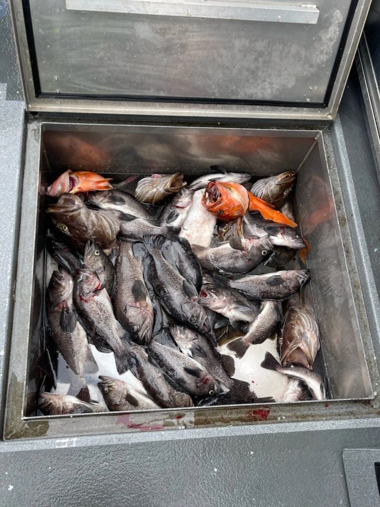 Sea Breeze Tuna Boat Recommendations | IFish Fishing Forum