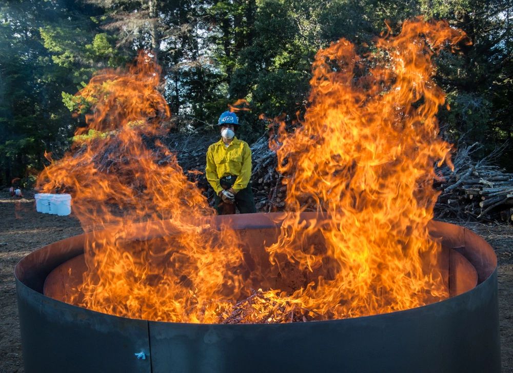 Ring of Fire in the Redwoods with the CCC