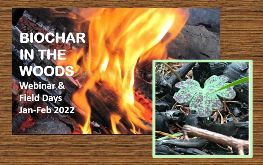 Biochar in the Woods Workshop