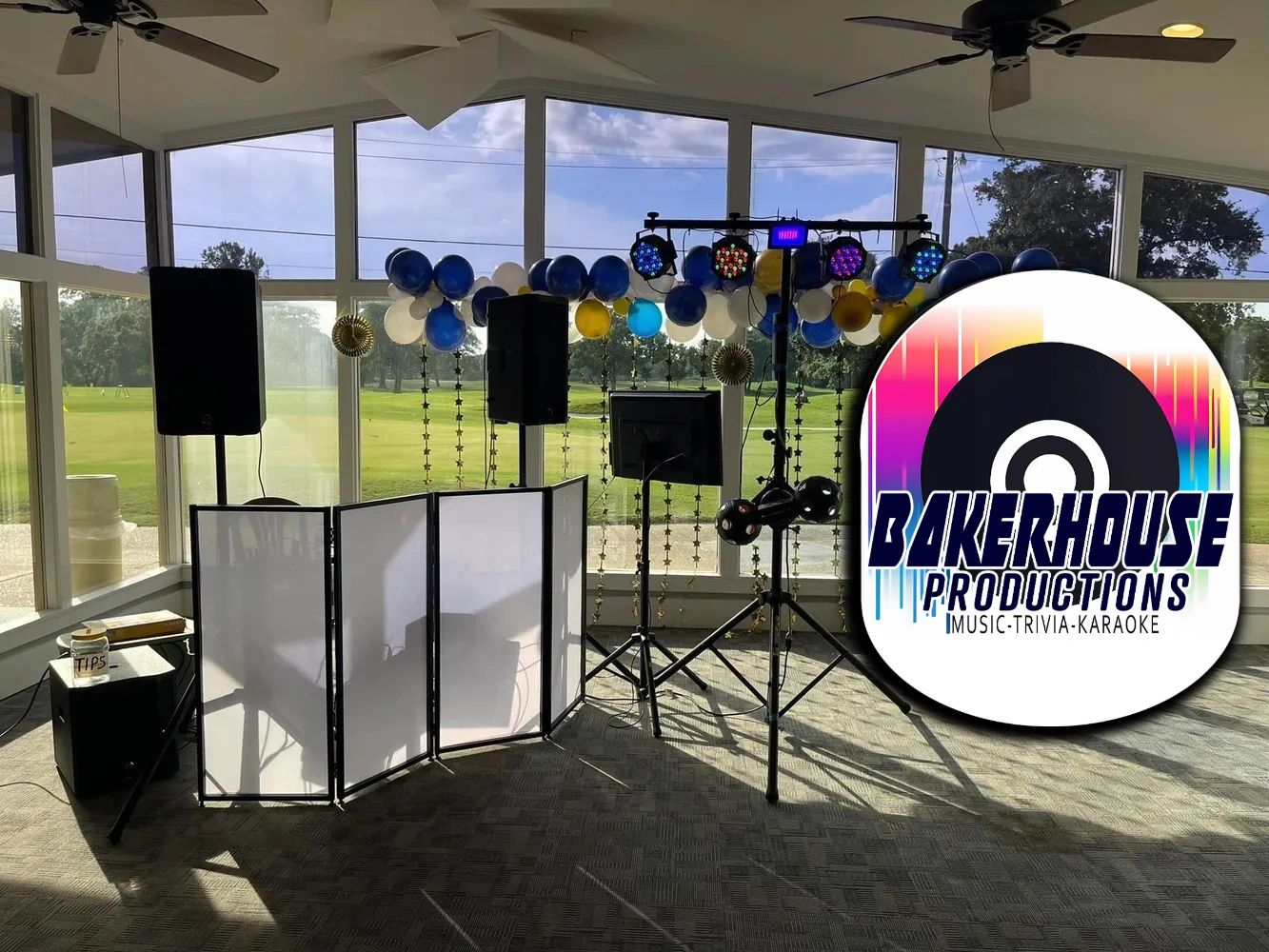 Professional Wedding DJ Services