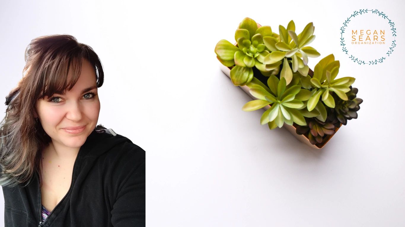 Organization Tips - Megan Sears Organization