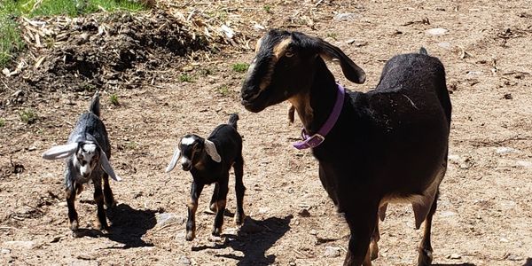 Sage View Ranch - Retreat Center, Vacation Rental, Rv Parking