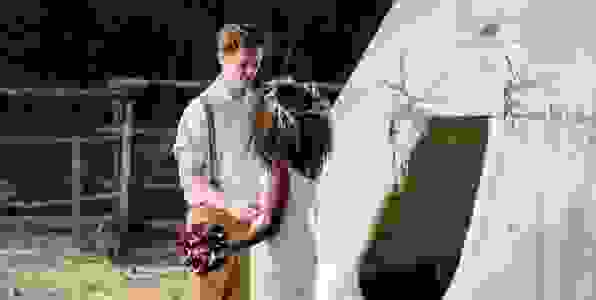 Destination Wedding | Sage View Ranch