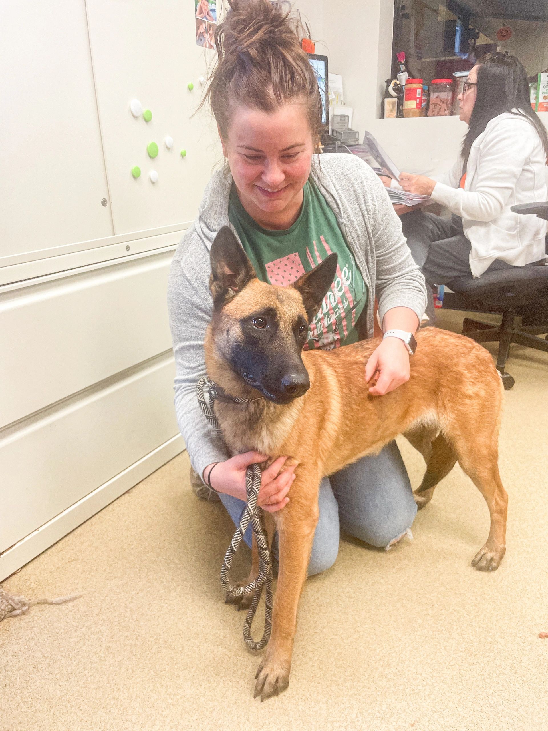 3 Tips for Fostering Shelter Dogs