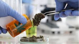 What to do about microbial fails.