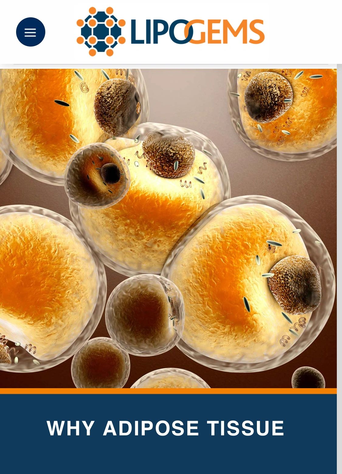 V.I.P. Partners with Lipogems