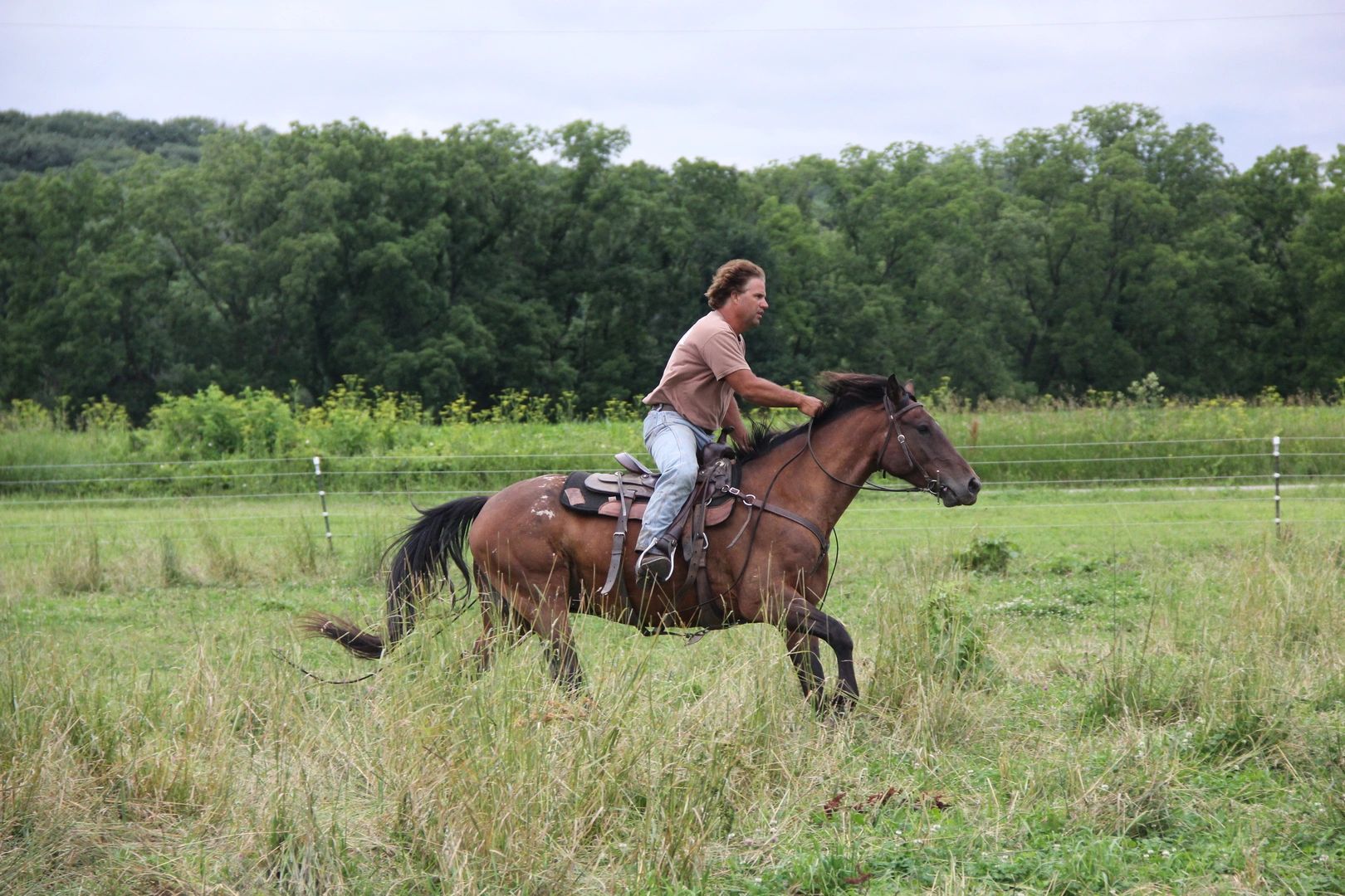 PINE DANCE RANCH INC.