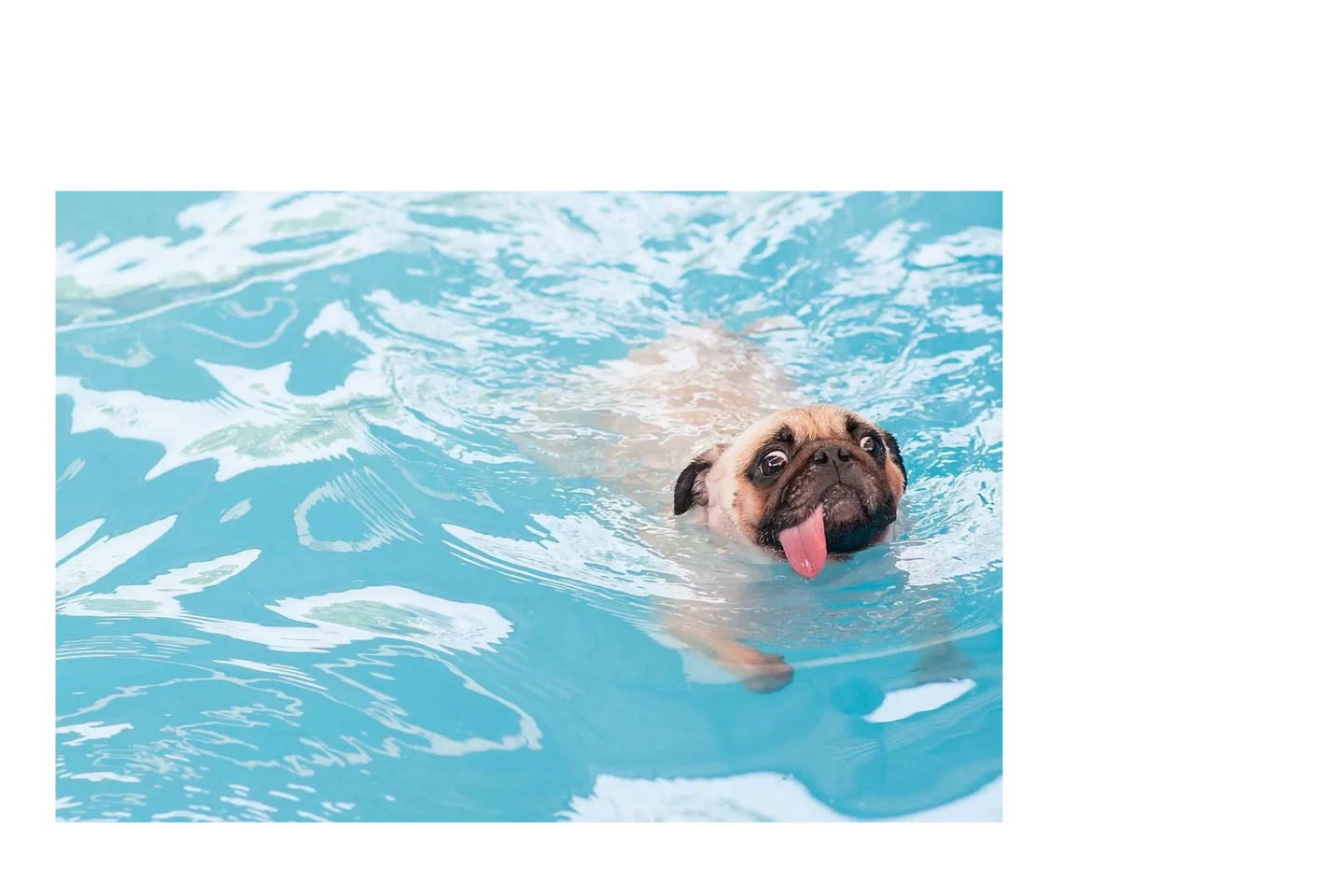 All Mastic - Pool Mastic, Mastic Install