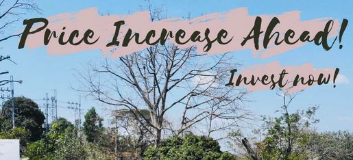 Alexandra Heights - Affordable Lots for Sale, Alexandra Heights