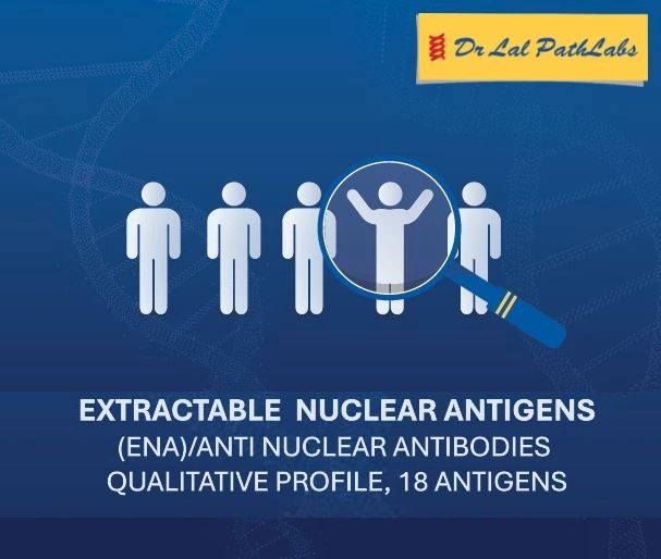 EXTRACTABLE NUCLEAR ANTIGENS / ENA PROFILE 18 Antigen
