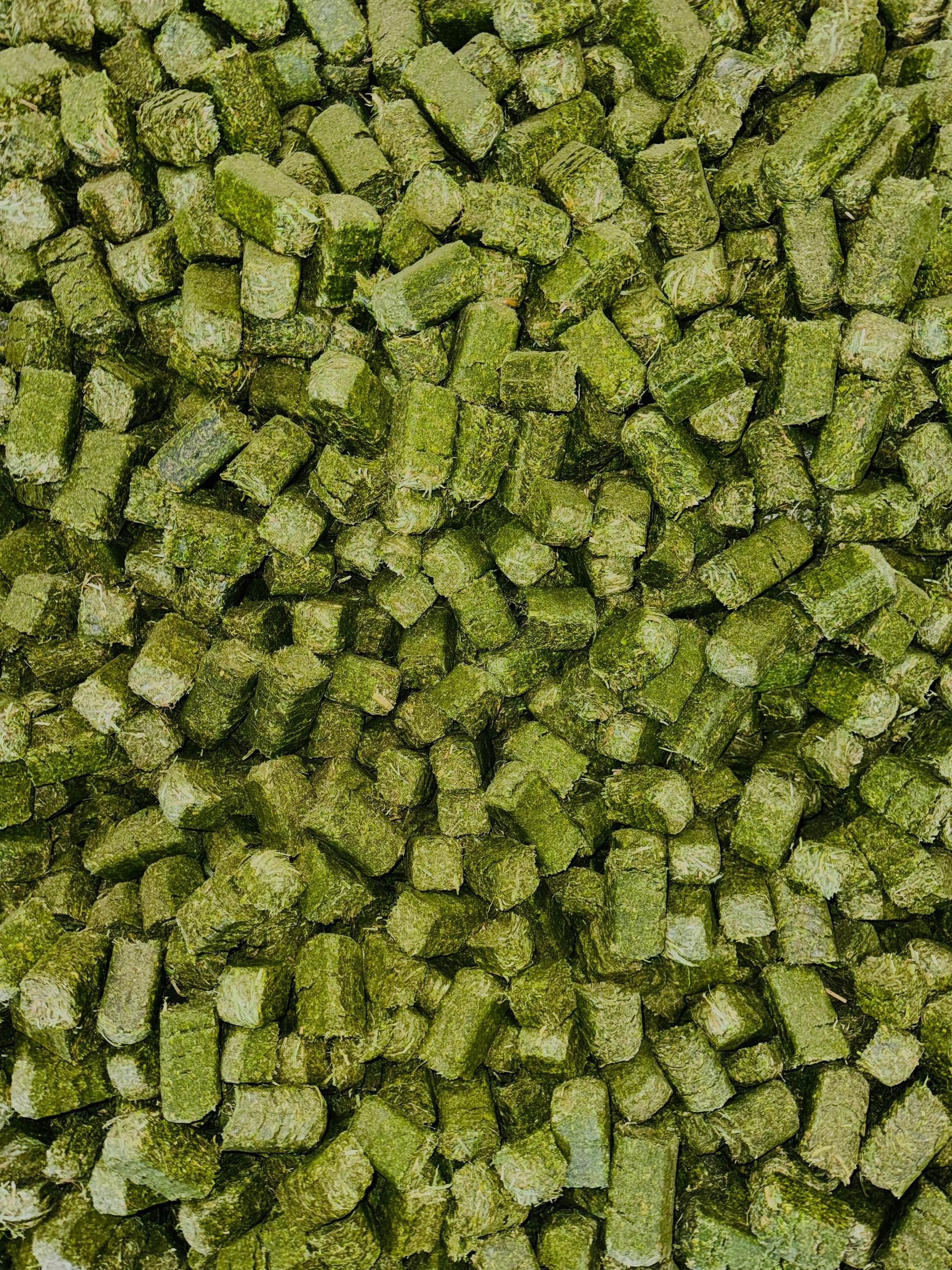 About | Sawyer Hay & Cube