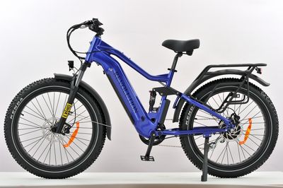 The Beast MKII | Revolution E-Bikes