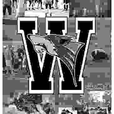 CCs Desktop Design - Photographer, Graphic Design