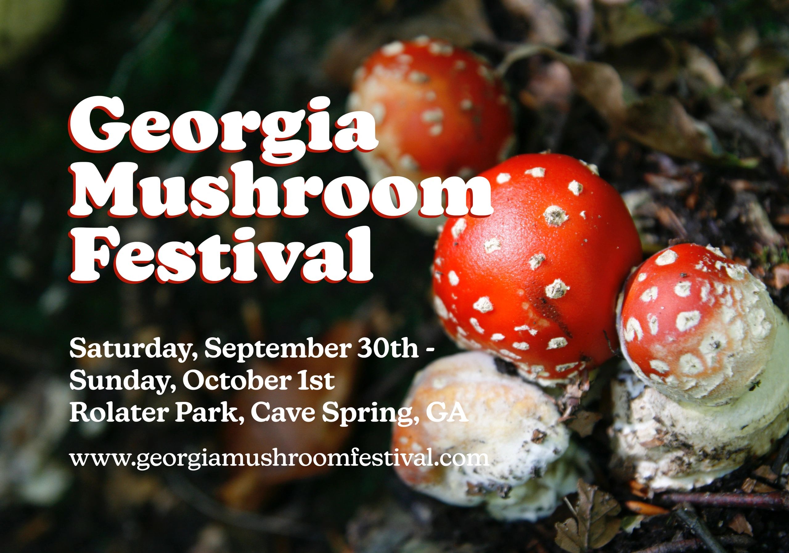 Georgia Mushroom Festival - Mushrooms, Festival, Mushrooms