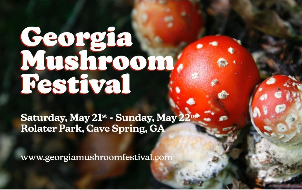 Georgia Mushroom Festival - Mushrooms, Festival, Mushrooms