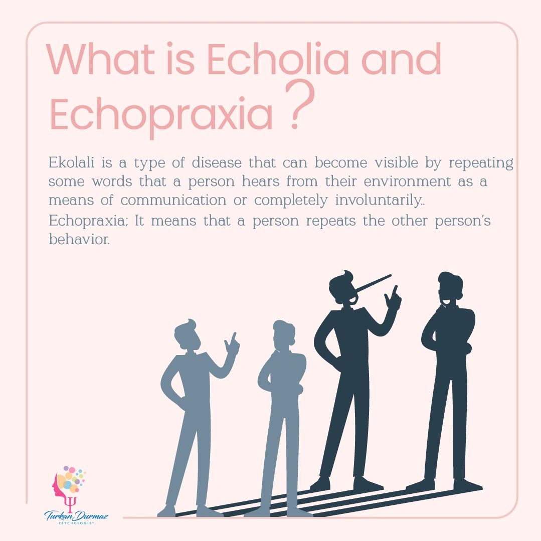 What is Echolia and Echopraxia?
