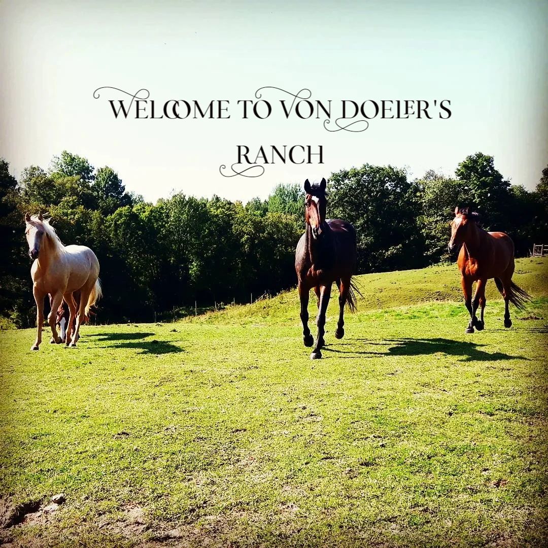 Von Doeler's Ranch - Horseback Riding, Ranch, Horse Riding