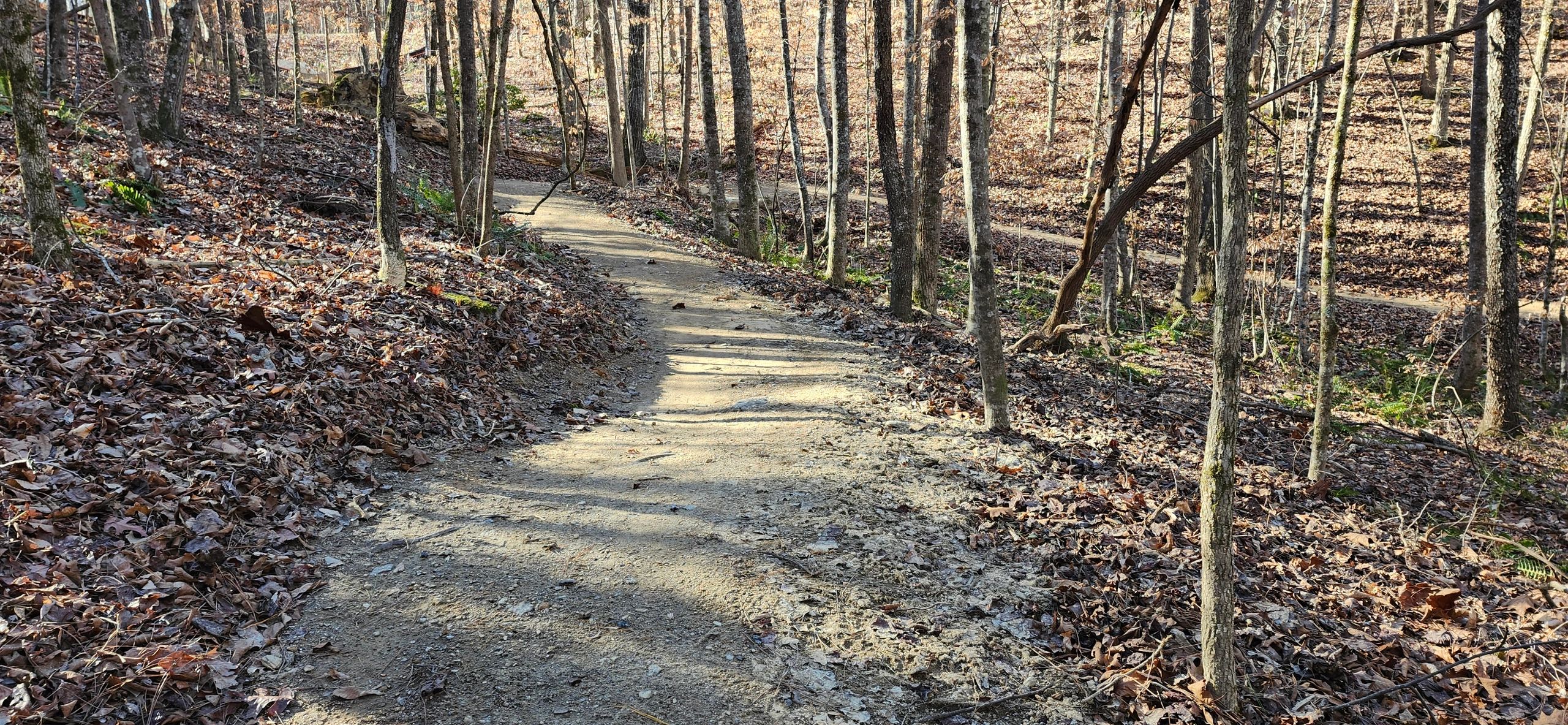 HOME [backwoodstrailcompany.com]