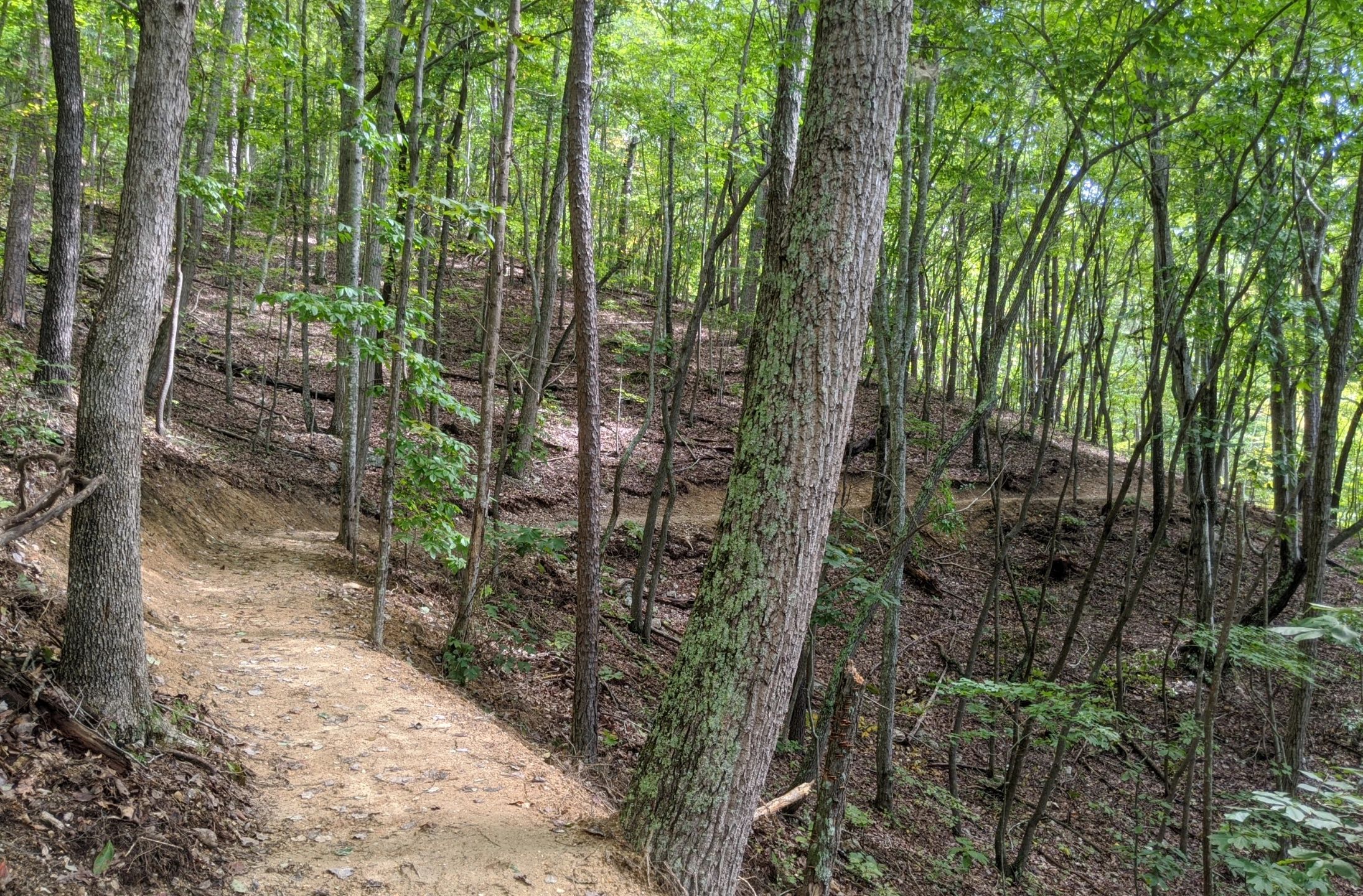 HOME [backwoodstrailcompany.com]