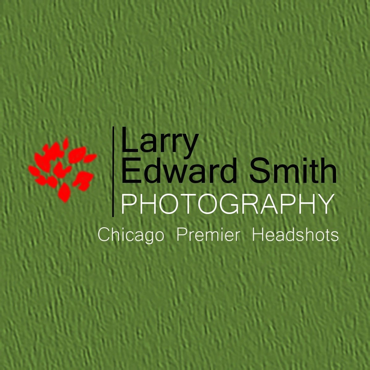Professional Photographer | Headshots & Artistic Portraits