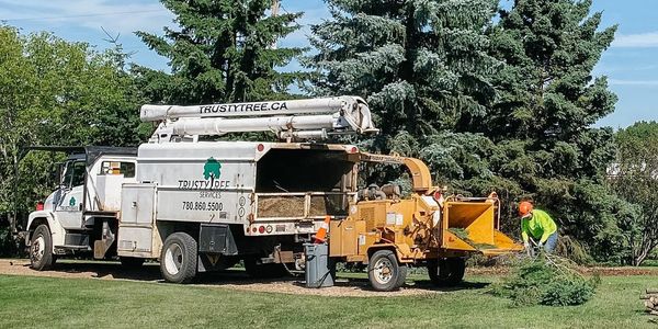 About | Trusty Tree Services