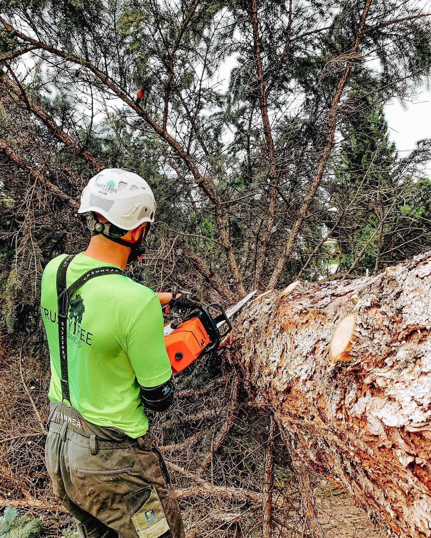 Trusty Tree Services - Tree Services, Tree Removal, Stump Grinding