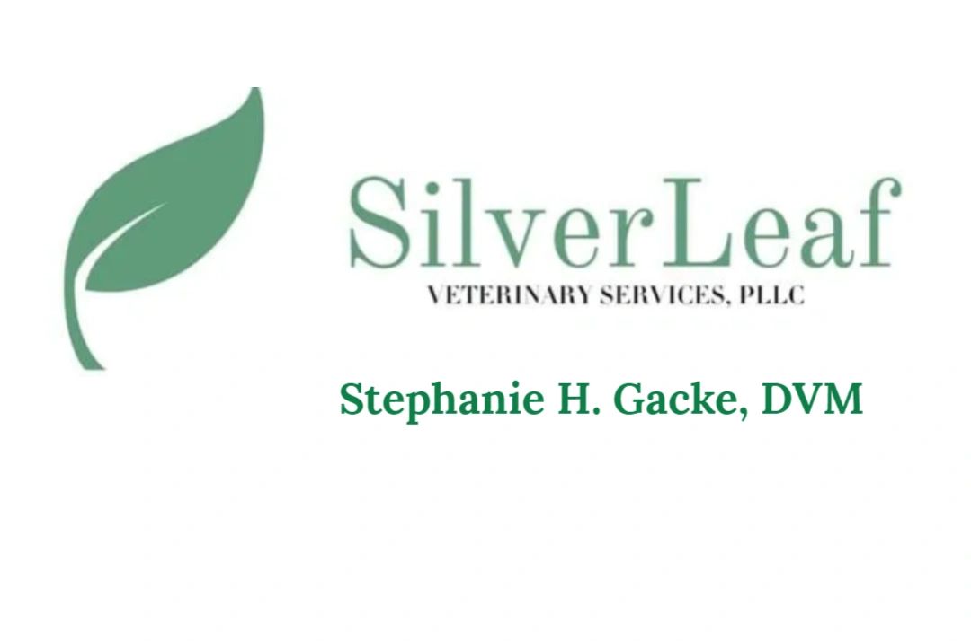 SilverLeaf Veterinary Services