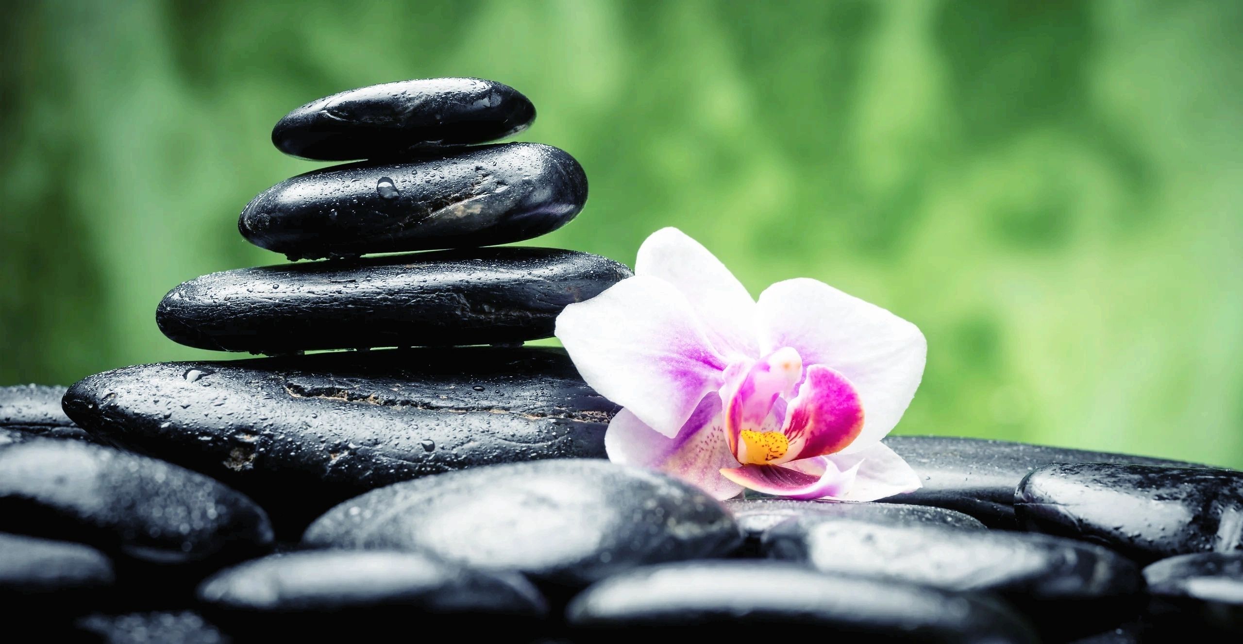 Dr. Chianni Lin Acupuncture Santa Monica | The Center For Acupuncture