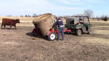 2ez Bale Mover - Spear Bale Mover, Single Bale Hay Trailer, Hay Dolly ...
