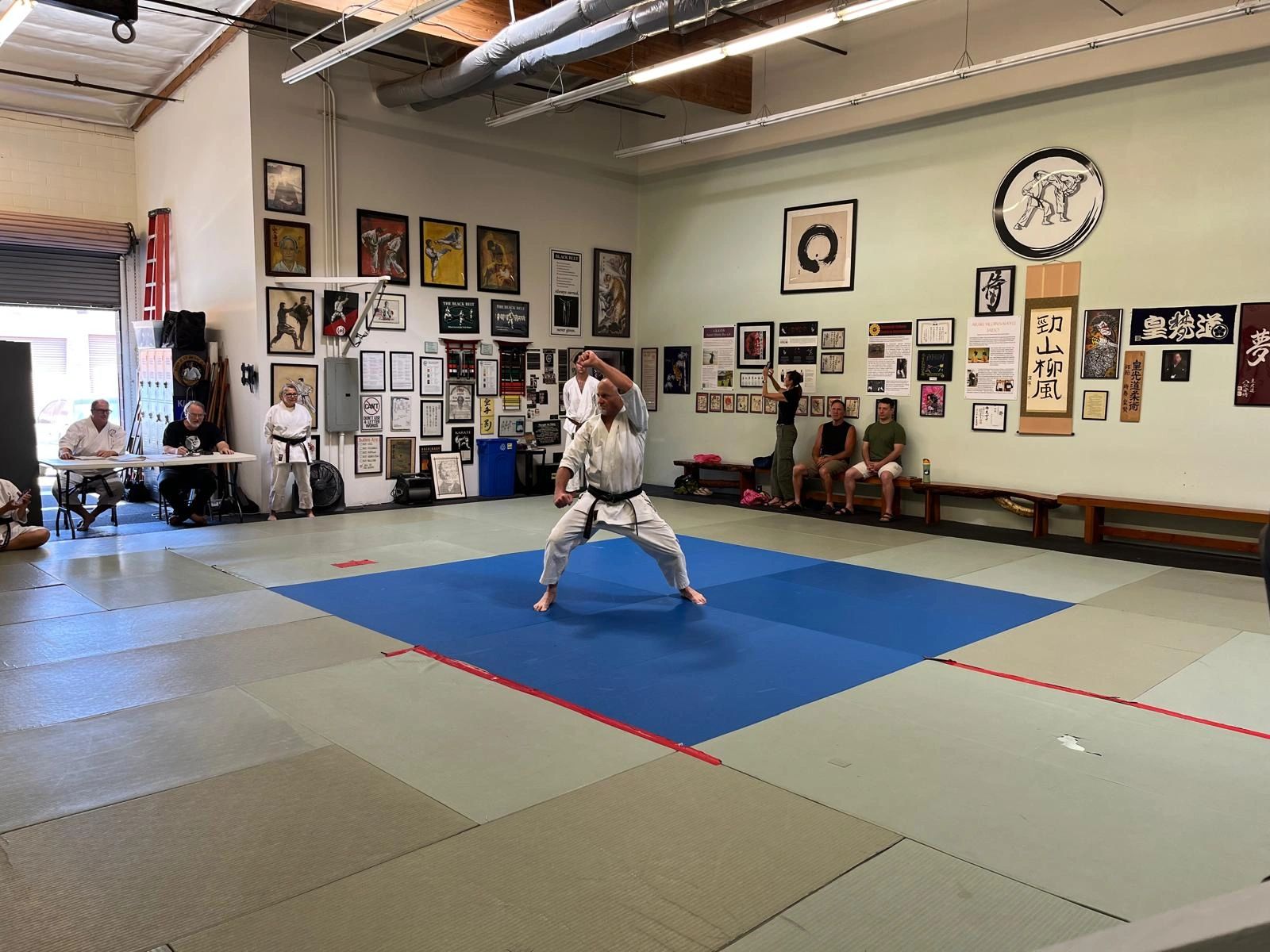 Using Physics Equations to Improve my Karate Techniques