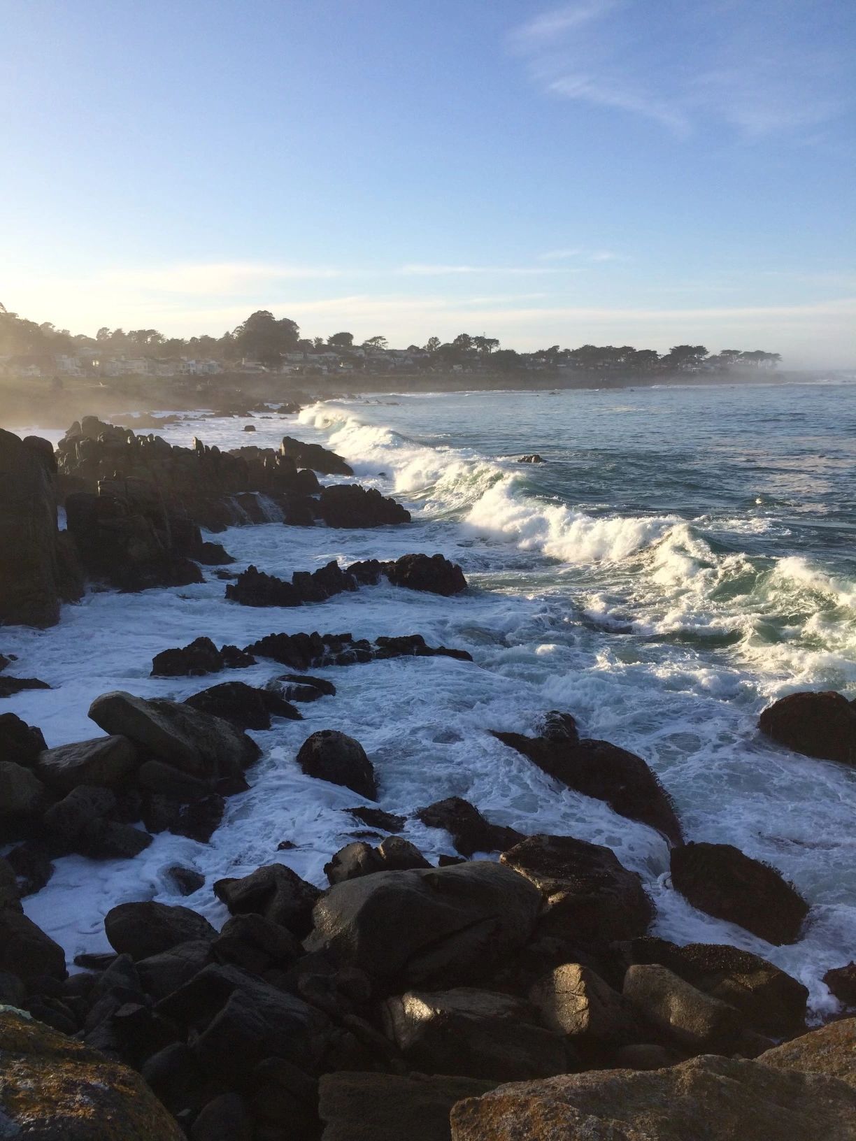 Virtual Therapy for Young Adults | Healing Minds