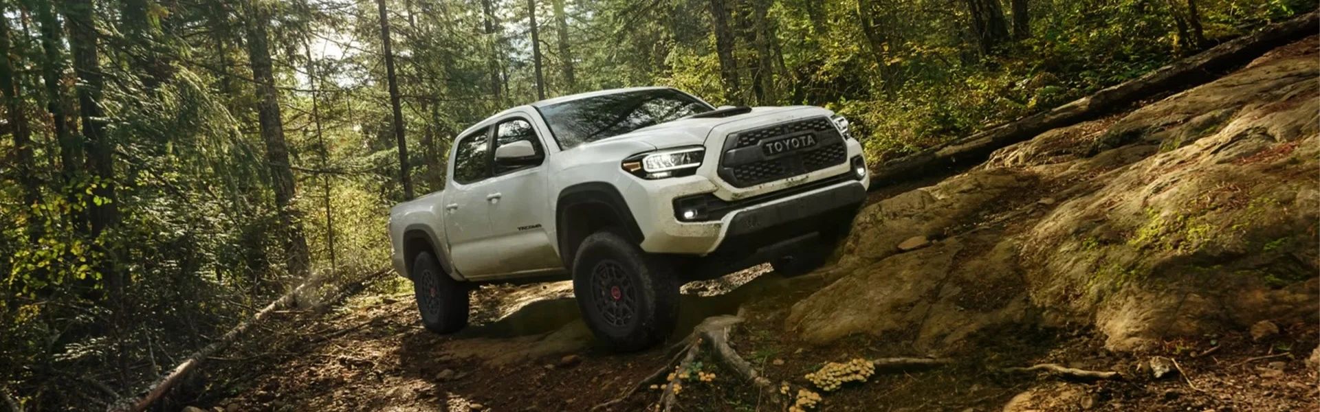 Sharue High Performance - Tacoma, Toyota Tune