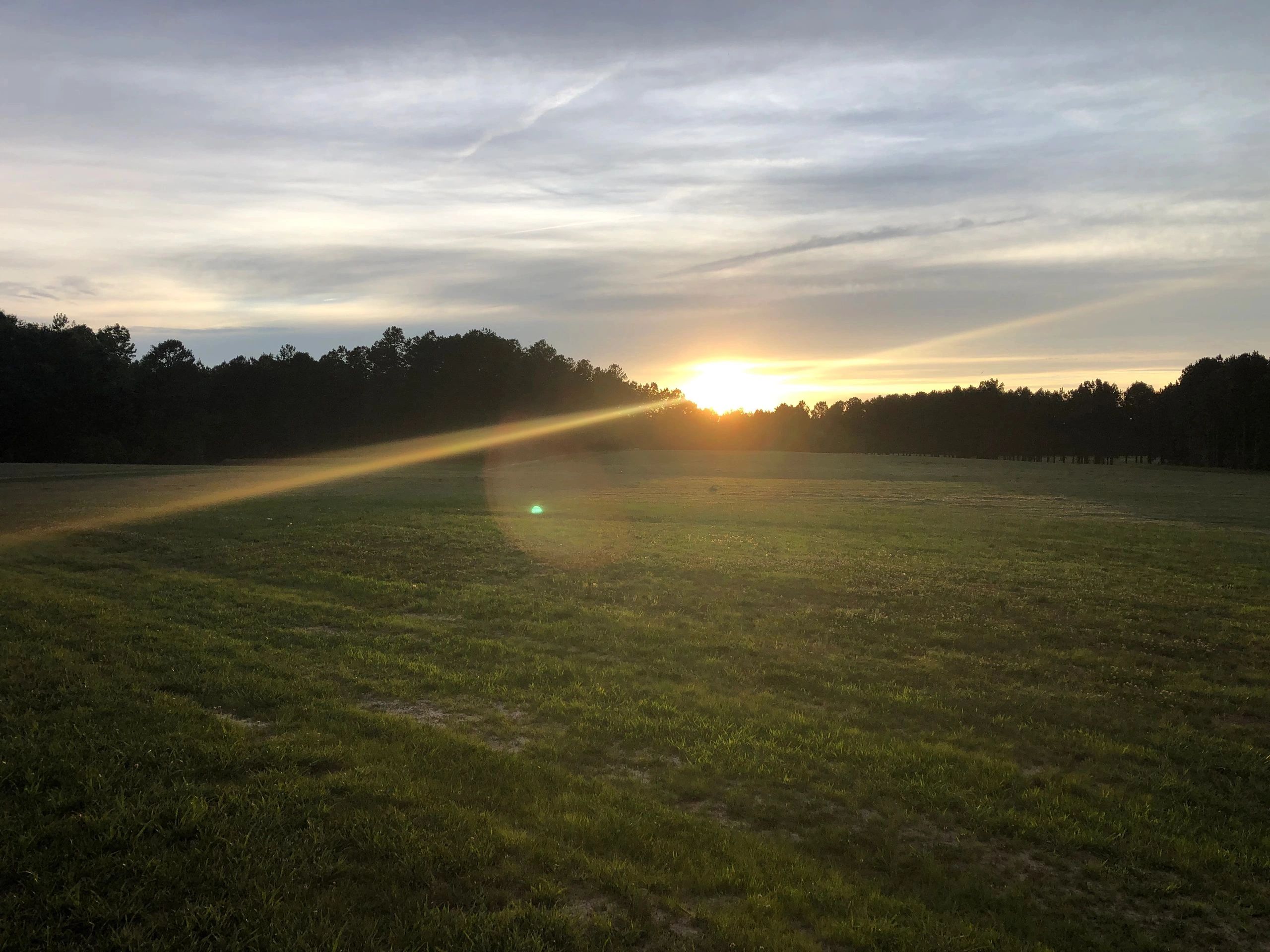 Triangle Land Management