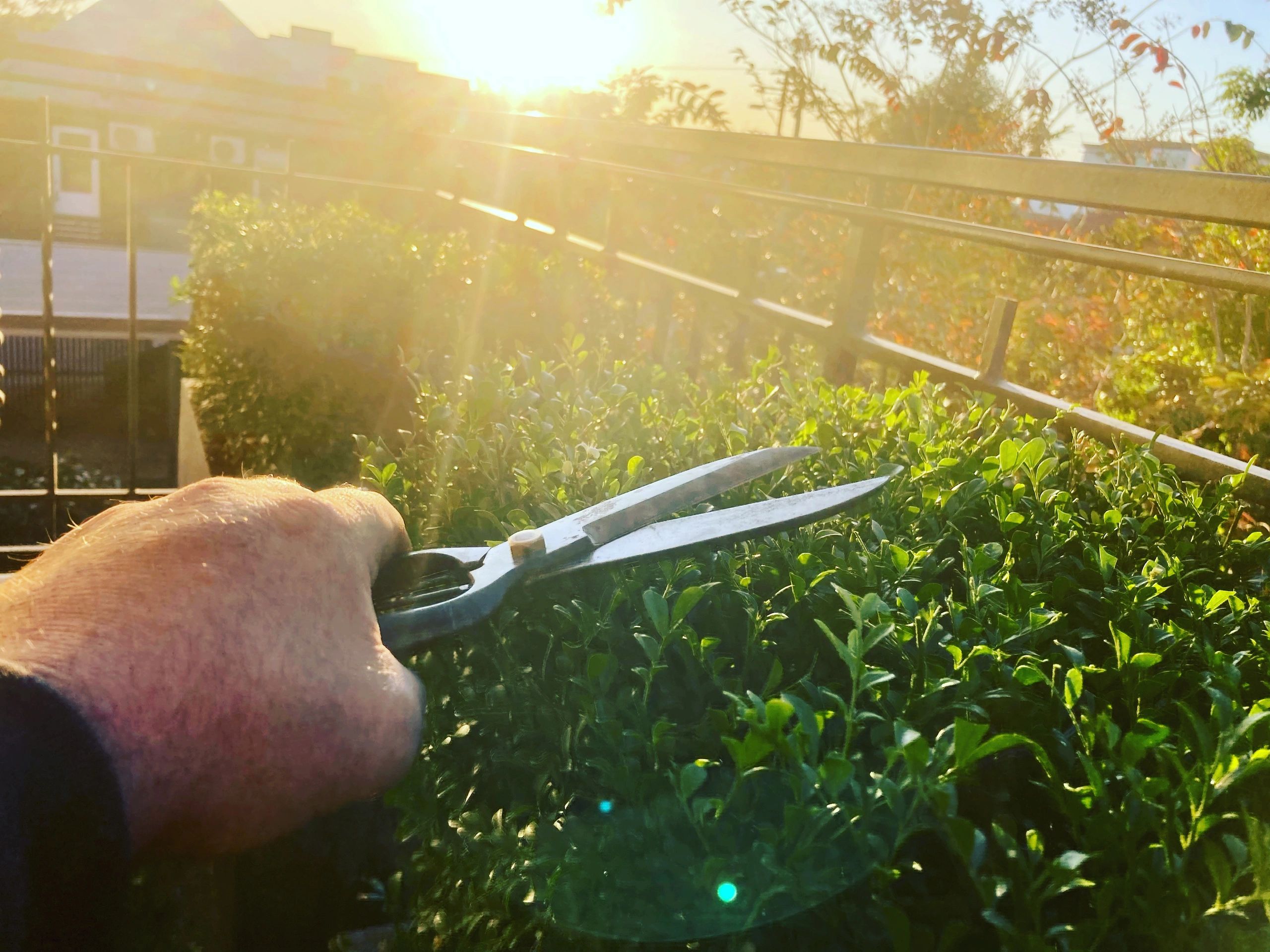 Lawn Mowing and Gardening - The Garden Barber