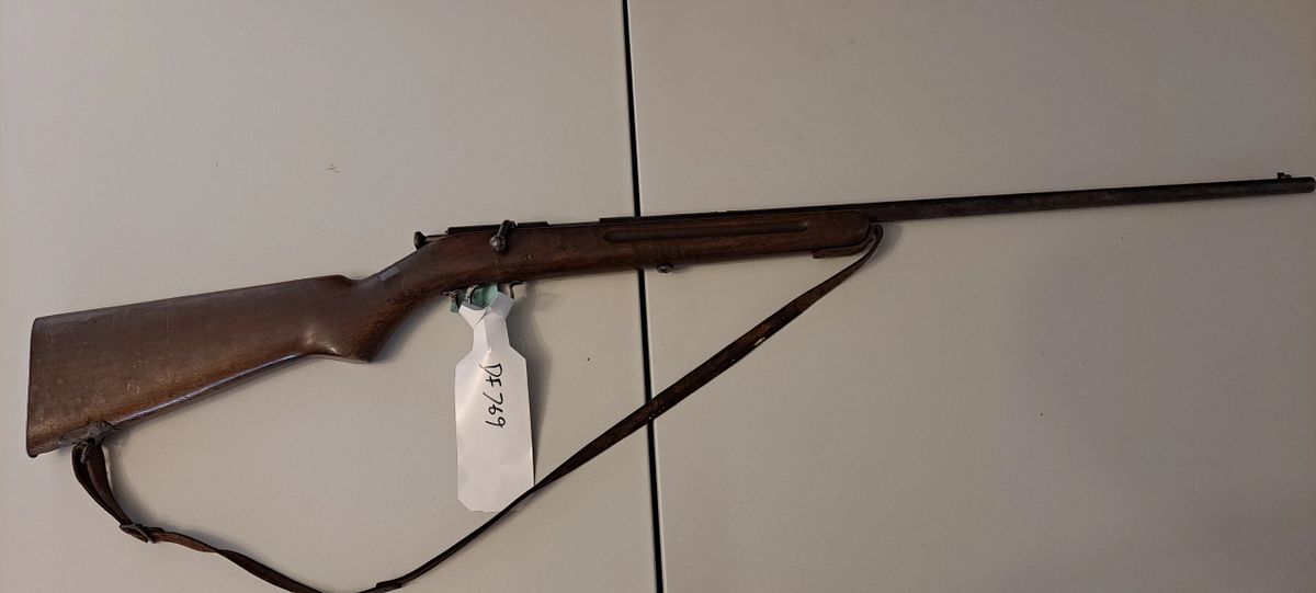 Remington 33 .22LR DF769