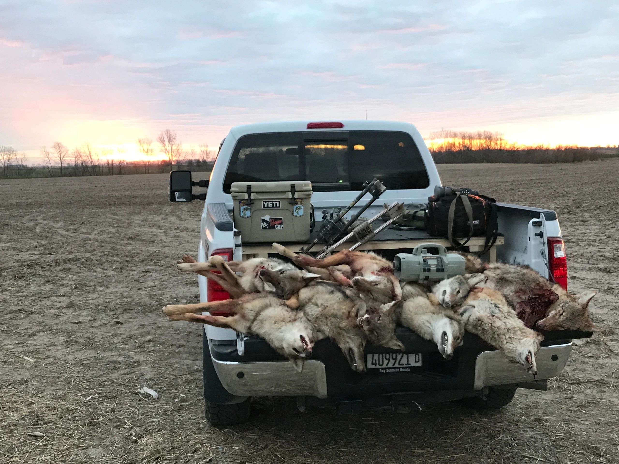 Illinois Predator Hunts