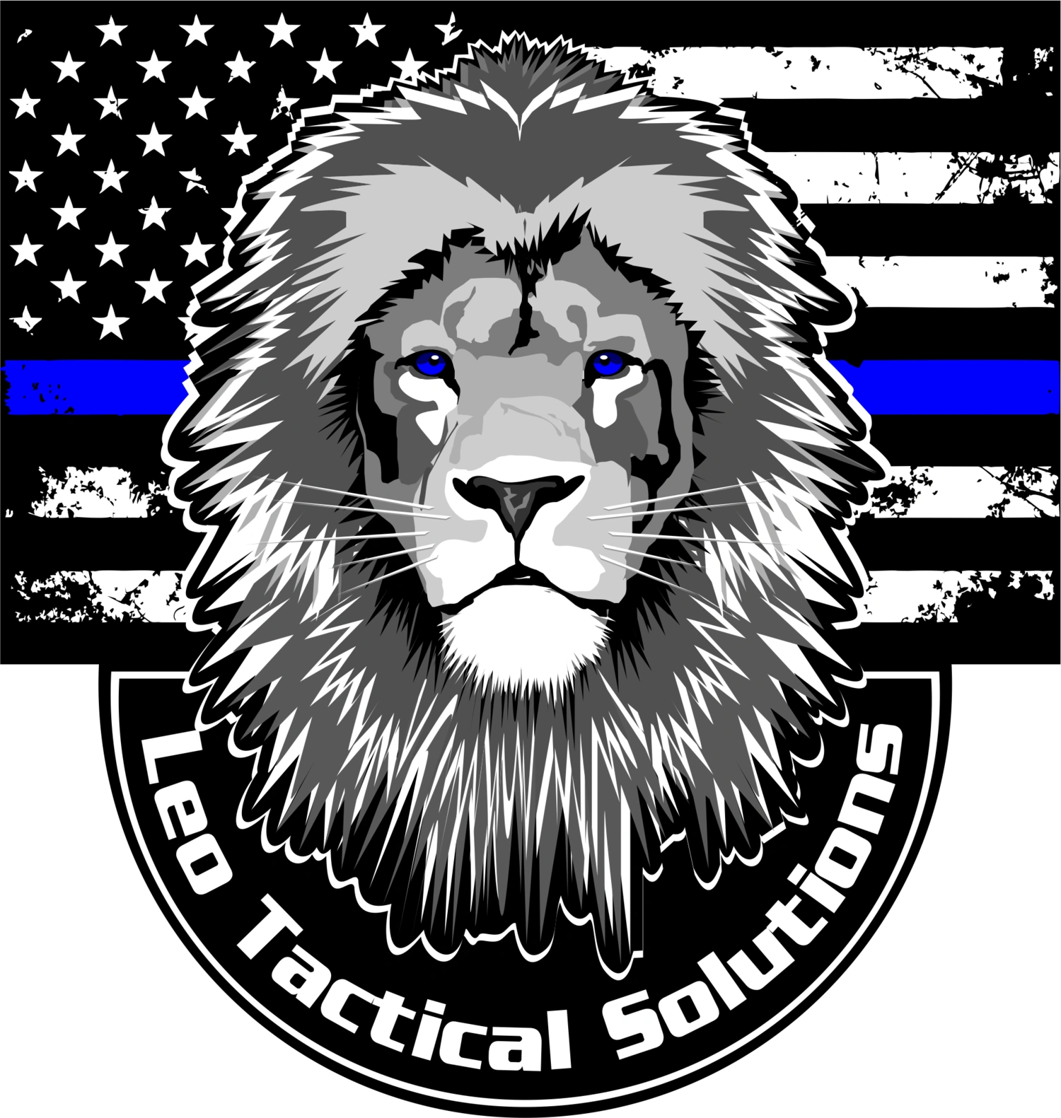Leo Tactical Solutions - Firearms Instruction, Gun Training