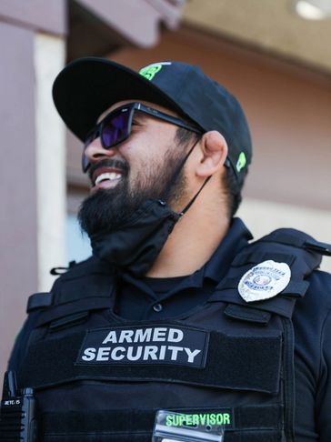 viper security solutions