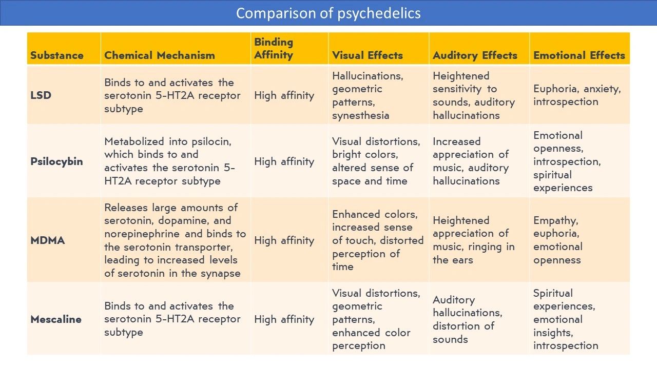 What ChatGPT says about psychedelics