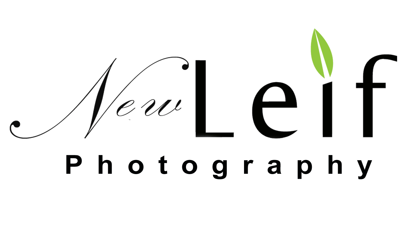 NewLeif Photography