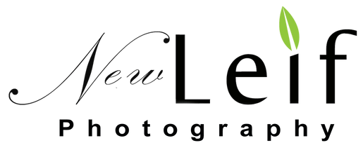 New Leif Photography