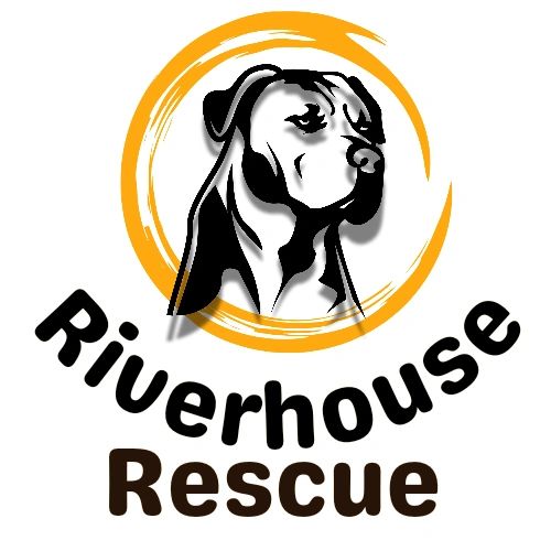 Dog and Puppy rescue.