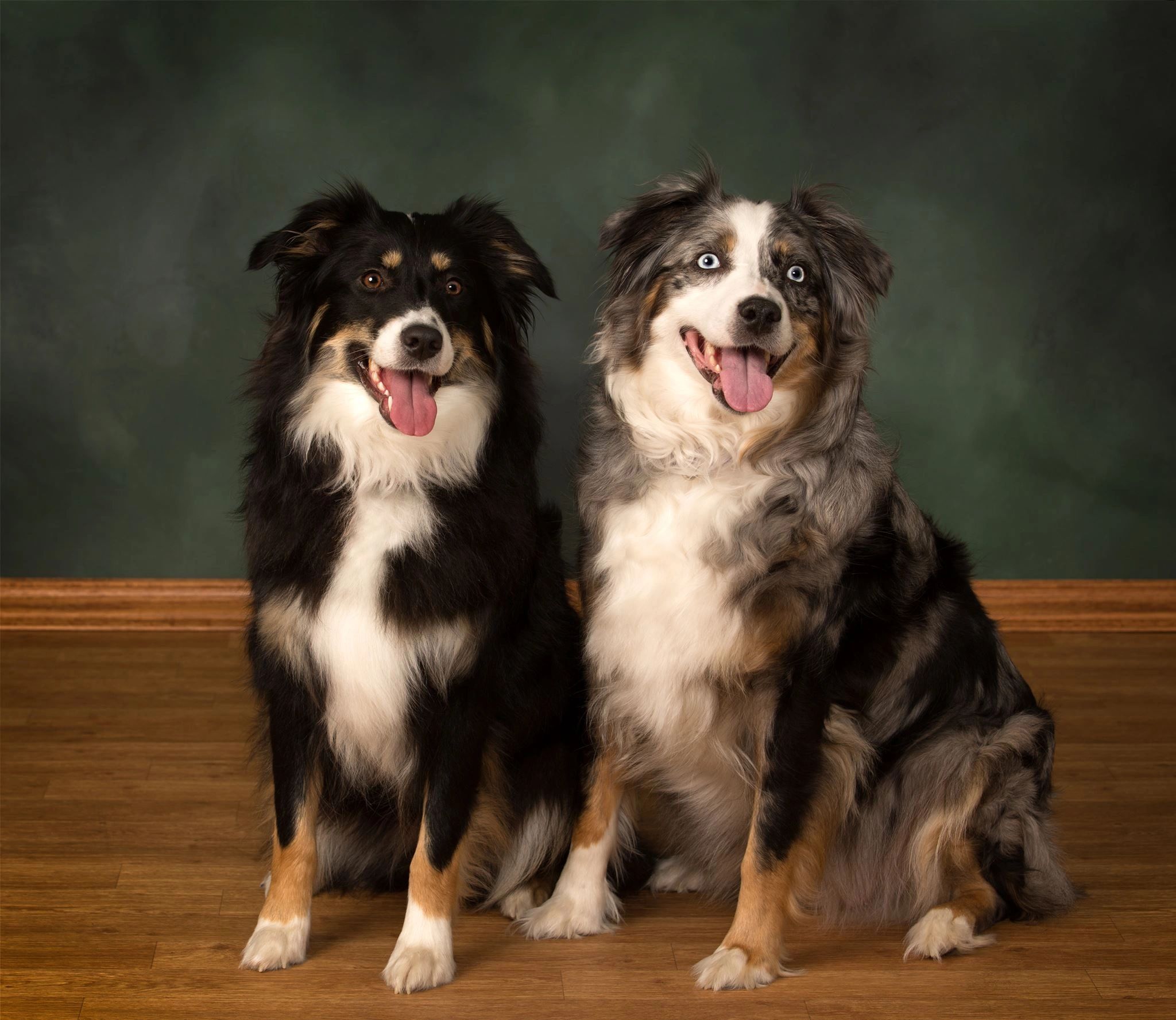 Our Aussies