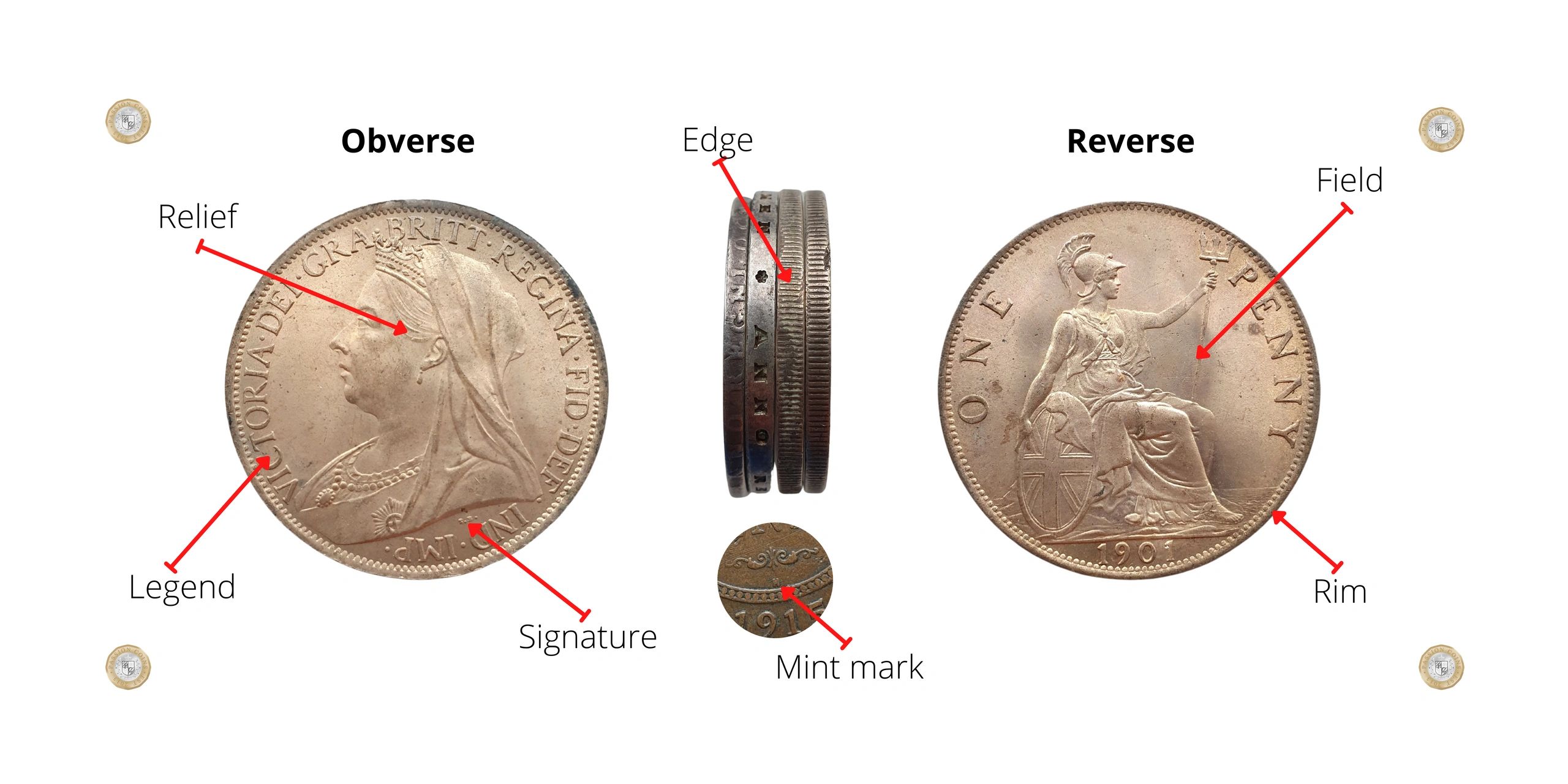 The secret anatomy of coins