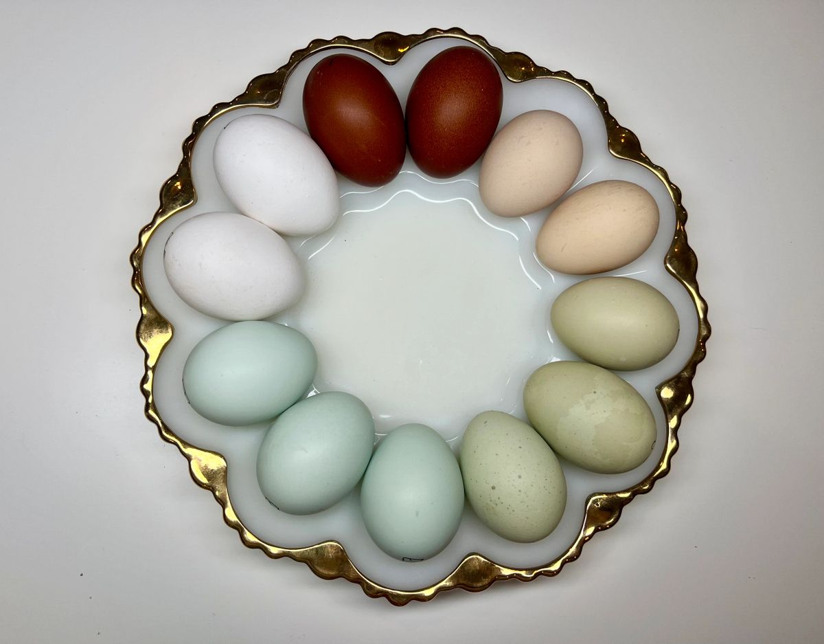 Pick-a-Dozen Hatching Eggs