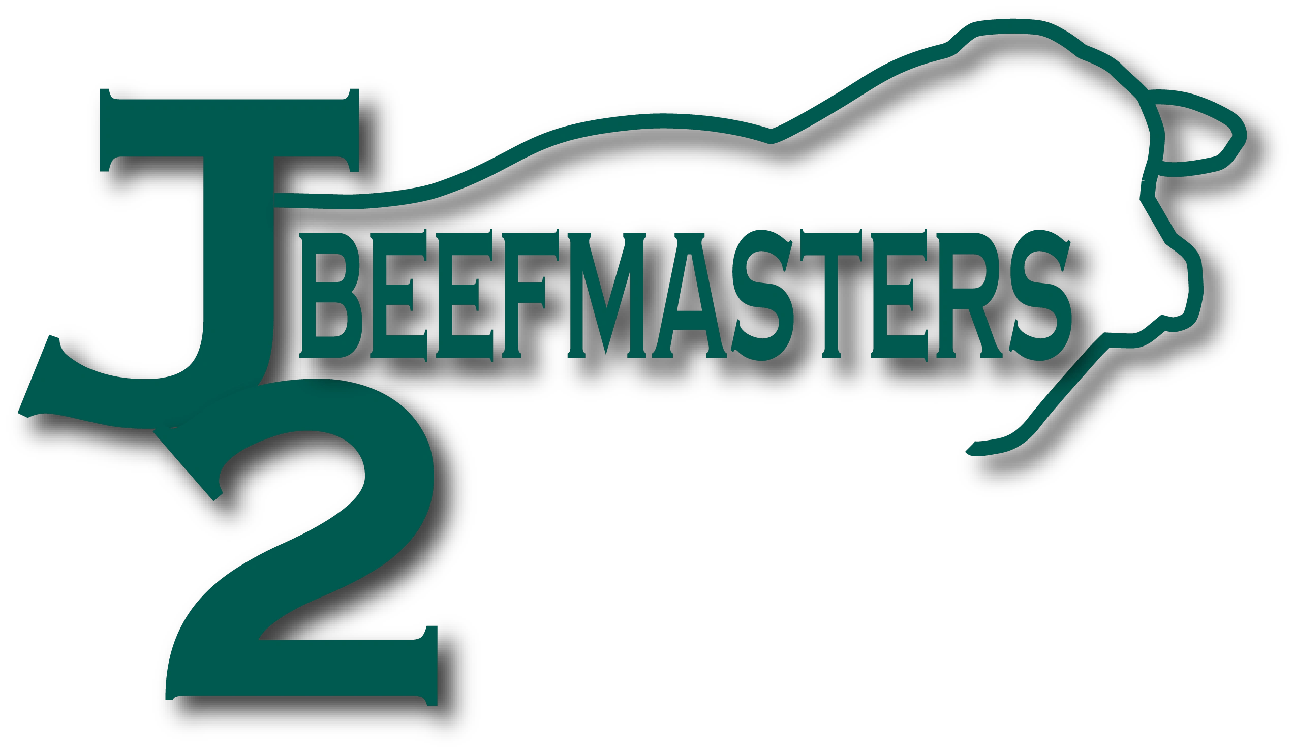Crossbred Females | J TWO Beefmasters