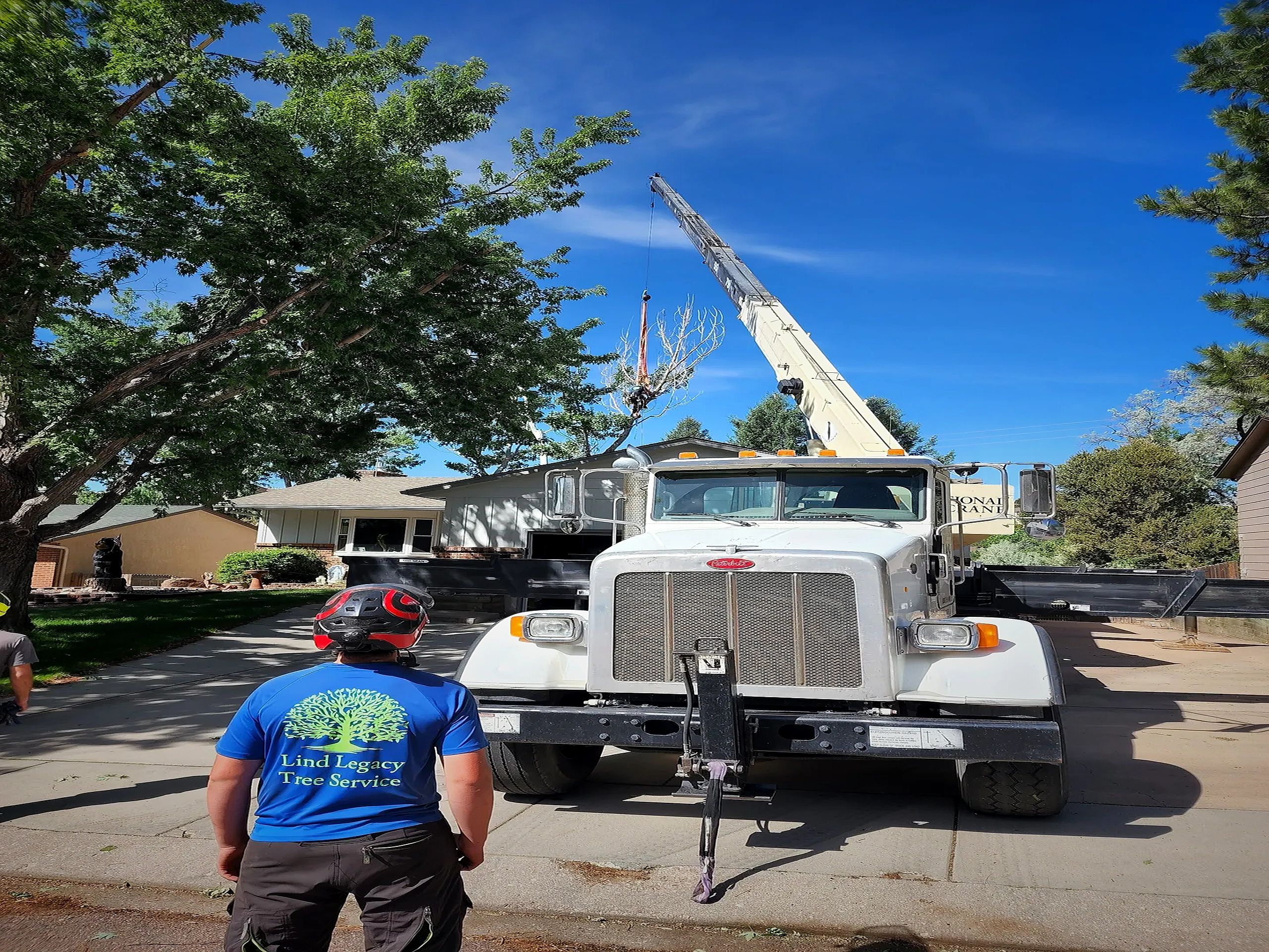 Professional Tree Service by Lind Legacy Tree Service