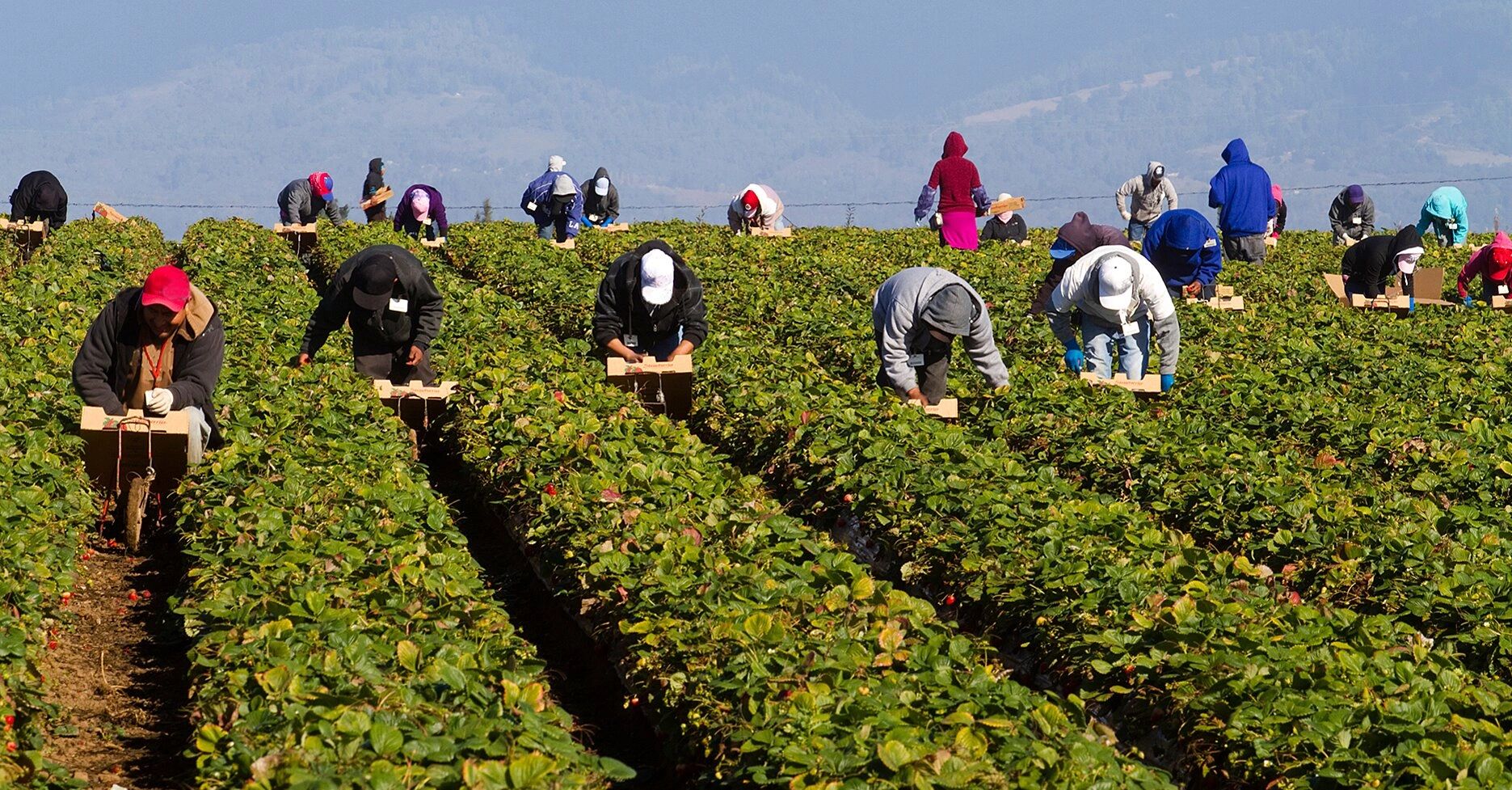 Bilingual Safety Training Solutions - Home