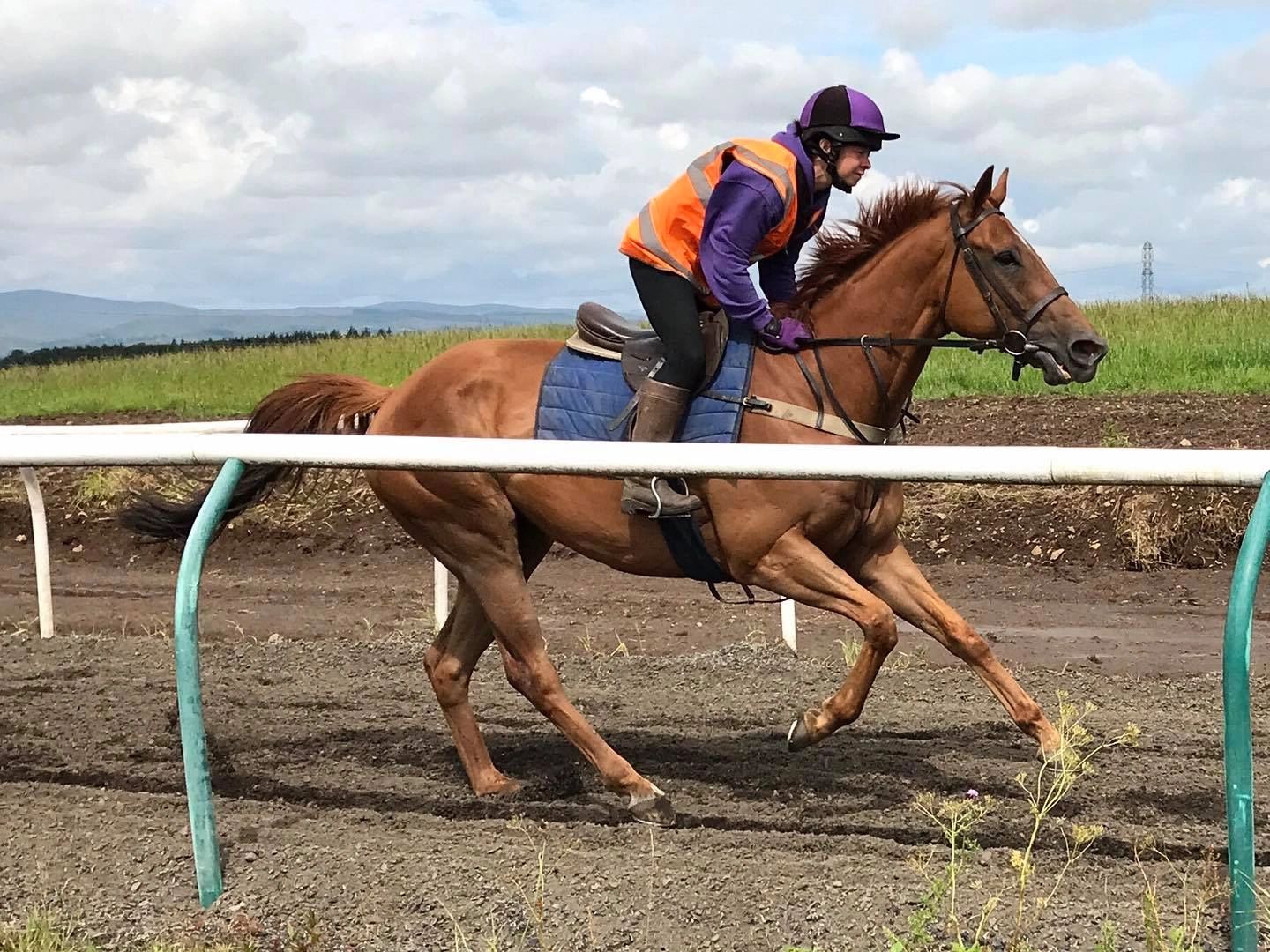 Jim Goldie racing - Jim Goldie, Racehorse Trainer, Horse Racing