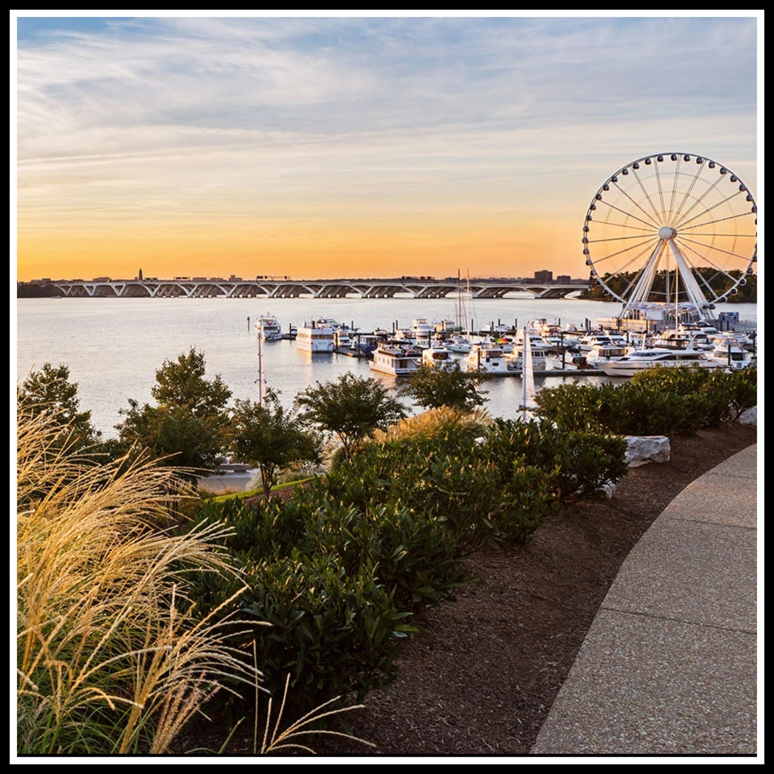 National Harbor Holdings